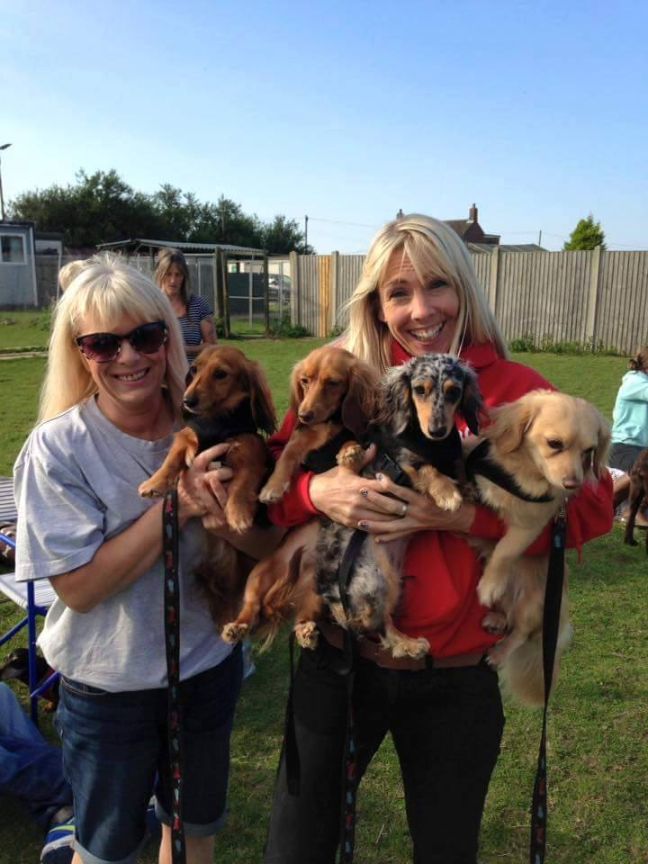 Impackt Behaviour – Educating Humans – Understanding Canines