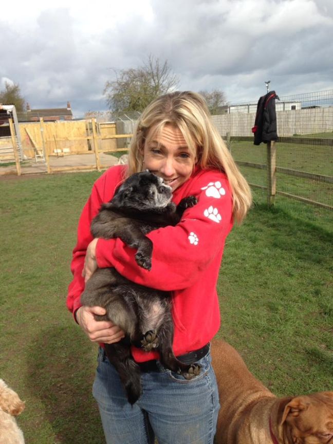 Impackt Behaviour – Educating Humans – Understanding Canines