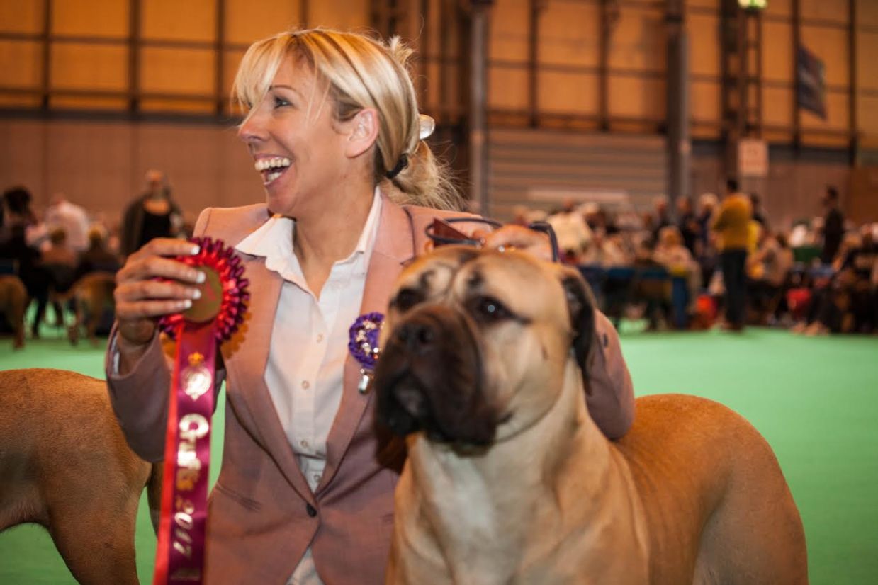 Impackt Behaviour – Educating Humans – Understanding Canines