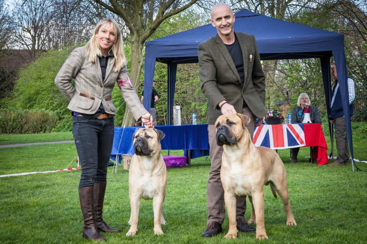 Impackt Behaviour – Educating Humans – Understanding Canines